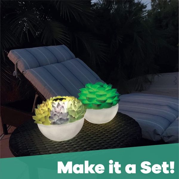 Meatball.ThatDailyDeal - EXTREME SGD - Solar Powered Succulent Patio ...
