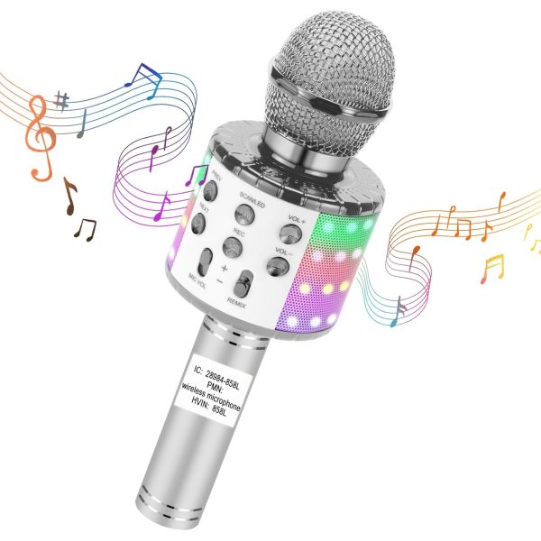 Meatball.ThatDailyDeal - EXTREME SGD - Wireless Bluetooth Karaoke ...