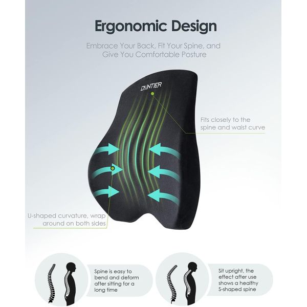 Meatball.ThatDailyDeal - EXTREME SGD - Deluxe Lumbar Support Cushion ...