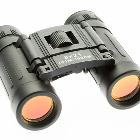 Meatball.ThatDailyDeal - EXTREME SGD - 8 x 21mm Binocular with Ruby ...